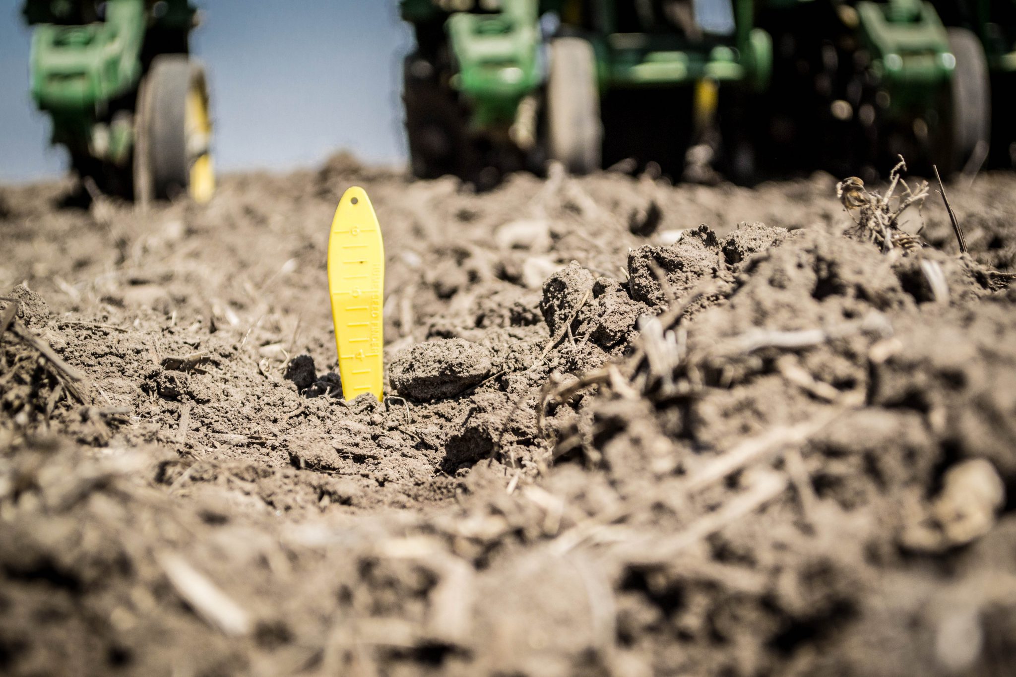 Inoculants | Growth and Development of Crops | Damara BioAgri